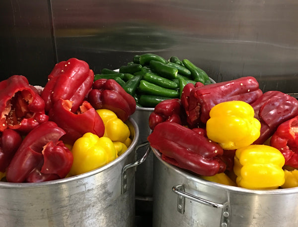 How I Make Hot Sauce Blog | By Chris Ginder, Founder of Gindo's - Gindos